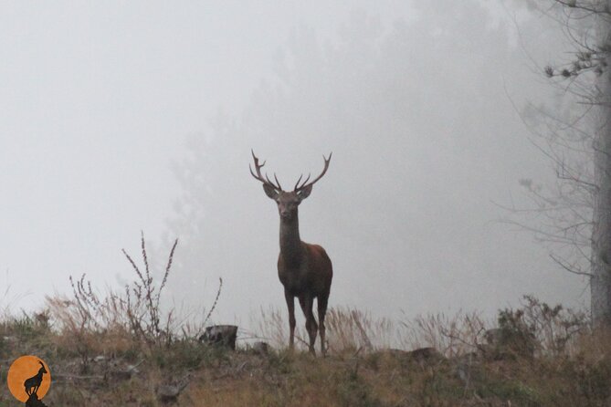 Discovering Nature in Serra da Lousã - Key Points