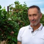 Discovering the mystery grape varieties - A Closer Look at the Experience