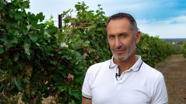 Discovering the mystery grape varieties - A Closer Look at the Experience