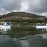 Discovering Vigo ria and mussels in the traditional boat - Tasting the Flavors of Galicia