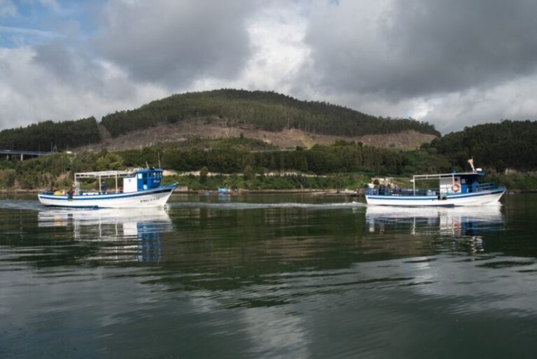 Discovering Vigo ria and mussels in the traditional boat - Tasting the Flavors of Galicia