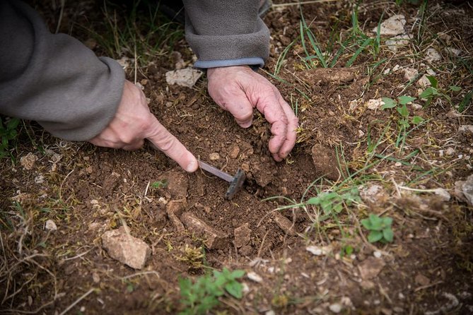 Discovery of the world of Truffles and tasting - Intriguing and Authentic Truffle Experience in Beaune