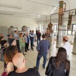 Distilleria Alma- Rum Distilery Guided Tour & Tasting - The Introduction: From Cane to Spirit