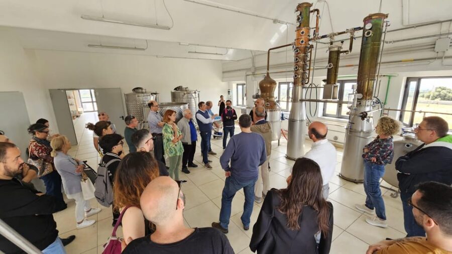 Distilleria Alma- Rum Distilery Guided Tour & Tasting - The Introduction: From Cane to Spirit