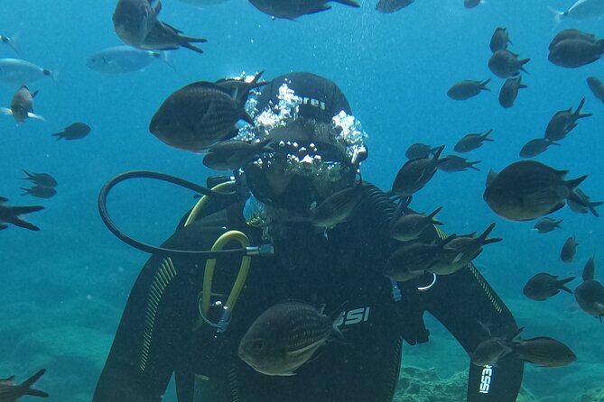 Dive The Rock (Scuba Diving Experience in Protaras) - Key Points