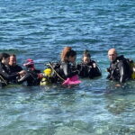 Diving - Value and Pricing