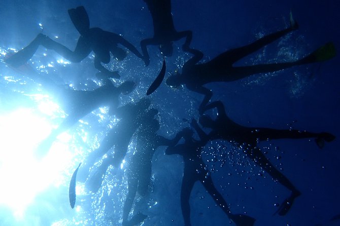 Diving Adventures - Boat and Shore Diving - What This Tour Offers at a Glance