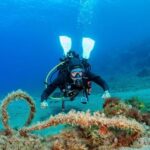 Diving baptism with 1 dive. - FAQs