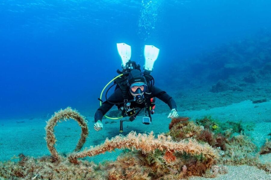 Diving baptism with 1 dive. - FAQs