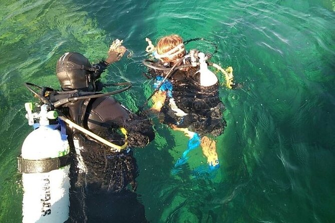 Diving baptism with cylinders (Introdive) at the Capo Carbonara Marine Protected Area - Key Points