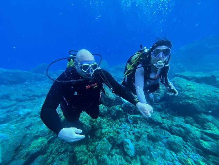 Diving course for beginners in turtle area Tenerife - Practical Details & Logistics