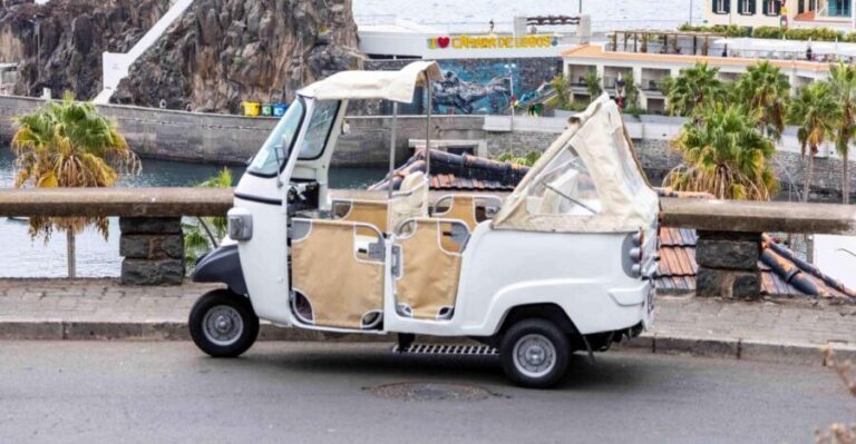 Do Funchal - Câmara de Lobos Fishing Village Tuk Tuk Tour - The Itinerary: What You’ll Experience
