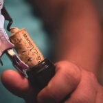 Dogliani: Tasting of 7 Wines in the Heart of the Langhe - What You Can Expect From the Tour