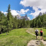 Dolomites of Bolzano: Hiking Experience with a local Guide - What You Can Expect from the Tour