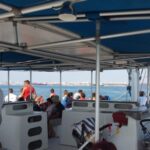 DOLPHIN LOVERS FULL DAY TOUR - Scenic Drive Through Arrábida Natural Park
