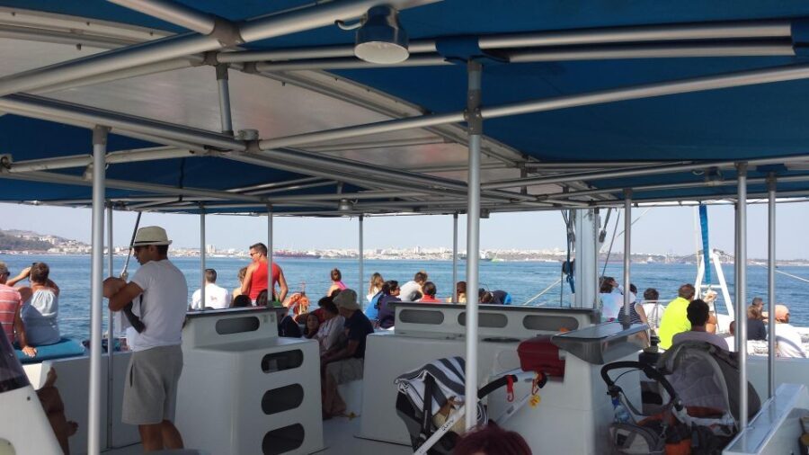 DOLPHIN LOVERS FULL DAY TOUR - Scenic Drive Through Arrábida Natural Park