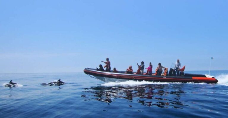 Dolphin Safari and Cave Tour in Vilamoura - A Detailed Look at the Tour Experience