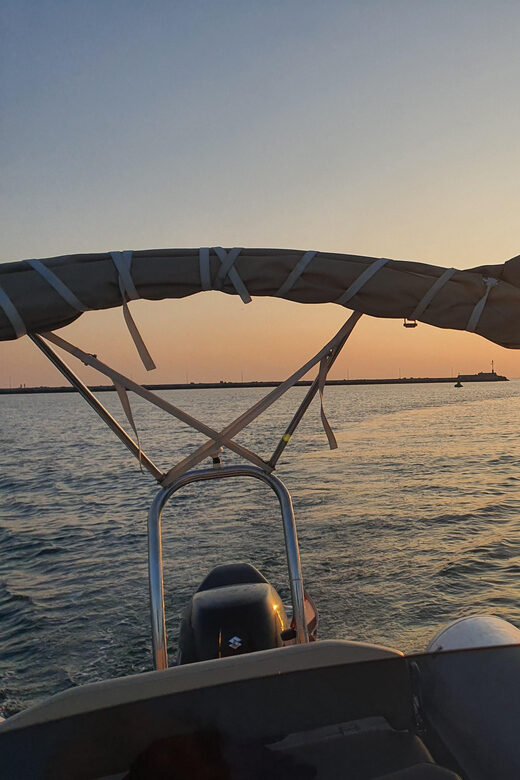 Dolphin safari every evening - A Detailed Look at the Experience