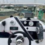 DOLPHIN WATCHING - Detailed Breakdown of the Experience