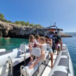 Dolphin Watching: Sesimbra / Arrábida Natural Park - Why Choose This Tour?
