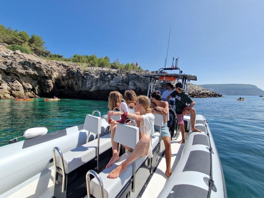Dolphin Watching: Sesimbra / Arrábida Natural Park - Why Choose This Tour?