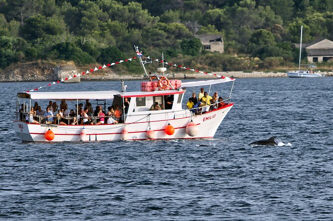 Dolphin Watching Sunset Boat Trip in Pula with Dinner - Key Points