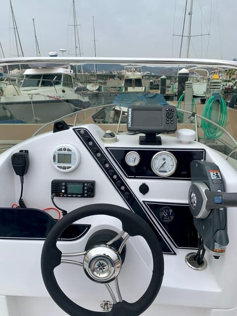 DOLPHIN WATCHING - Detailed Breakdown of the Experience