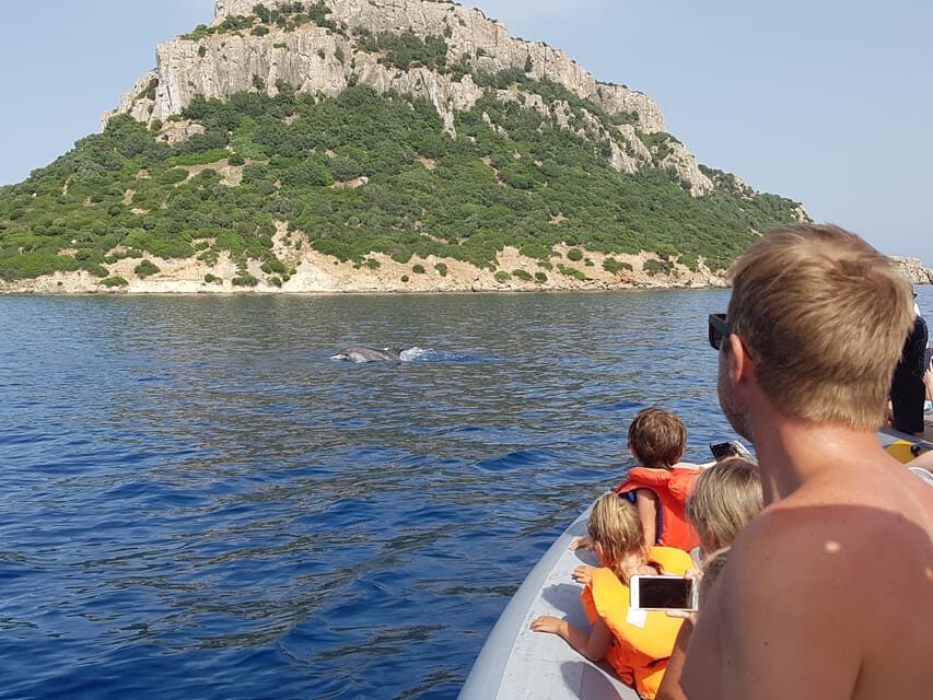 Dolphins: Dolphin Sightseeing Tour and Cape Figari By Dinghy - The Sum Up