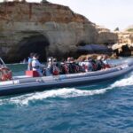 Dolphins Watching - Portimão - Why This Tour Is Perfect for You