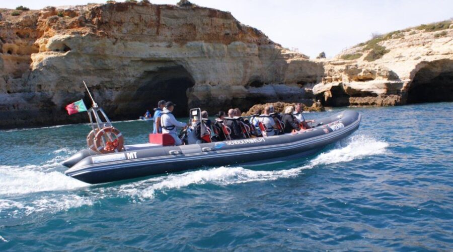 Dolphins Watching - Portimão - Why This Tour Is Perfect for You