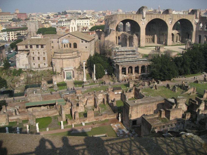 Domus Tiberiana, Palatine Hill and Roman Forum Guided Tour - What Makes This Tour Stand Out