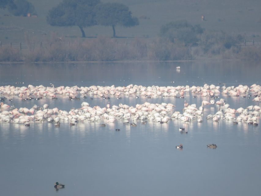 Doñana National Park: 2-Day Tour from Seville - Value and Overall Impression