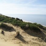 Doñana National Park Off-Road Tour from Seville - What Makes This Tour Special