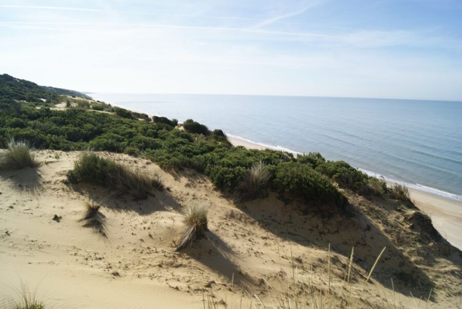 Doñana National Park Off-Road Tour from Seville - What Makes This Tour Special