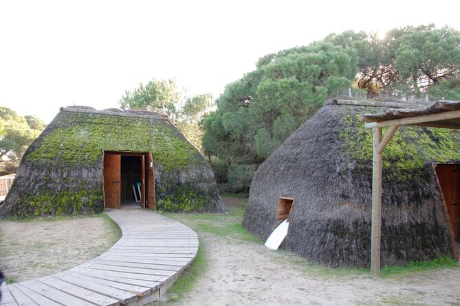 Doñana Natural Park Full-Day Tour from Seville - Exploring the Wilds of Doñana National Park