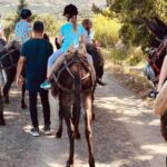 Donkey Ride - Cretan Country - What Makes This Experience Special?