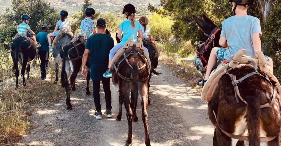 Donkey Ride - Cretan Country - What Makes This Experience Special?