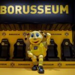 Dortmund: Borusseum Borussia Dortmund Museum Entry Ticket - In-Depth Look at the Exhibits
