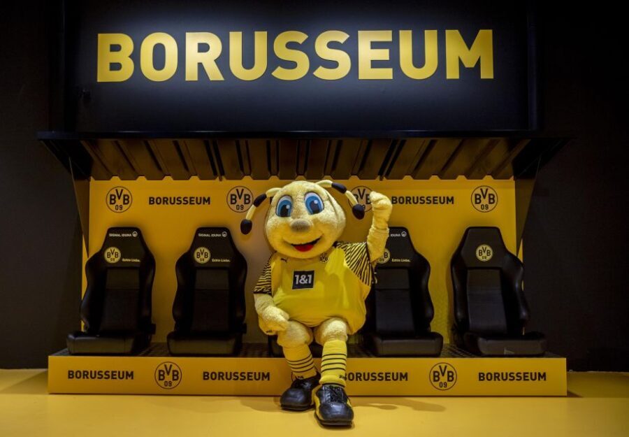 Dortmund: Borusseum Borussia Dortmund Museum Entry Ticket - In-Depth Look at the Exhibits