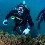 Double dive in the Algarve. Don't stop on the beach! - Exploring the Algarve Underwater World