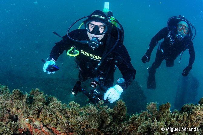 Double dive in the Algarve. Don't stop on the beach! - Exploring the Algarve Underwater World