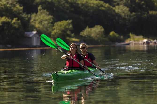 Double Kayak Rental in Geiranger (Excursions.no) - Key Points