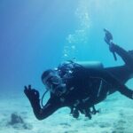 Double Shore Dive (certified divers) - The Value of This Shore Dive Tour