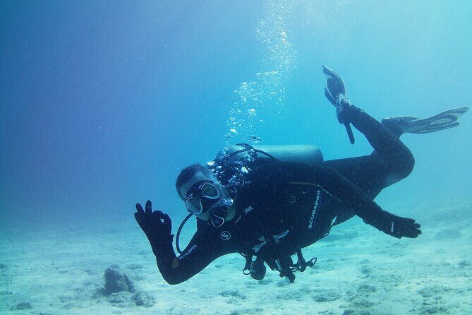 Double Shore Dive (certified divers) - The Value of This Shore Dive Tour