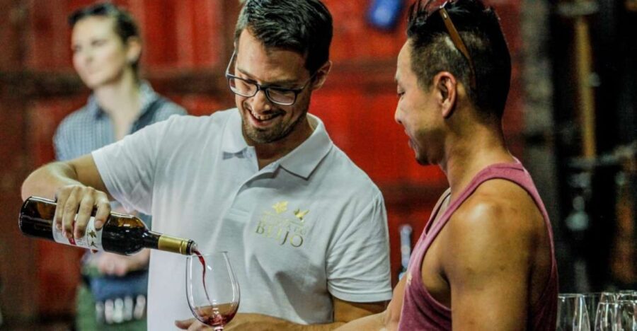 Douro: Classic Wine Tasting with Guided Tour - The Guided Tour of Century-Old Cellars