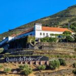 Douro: easy walking + wine tasting + Picnic + visit - Key Points