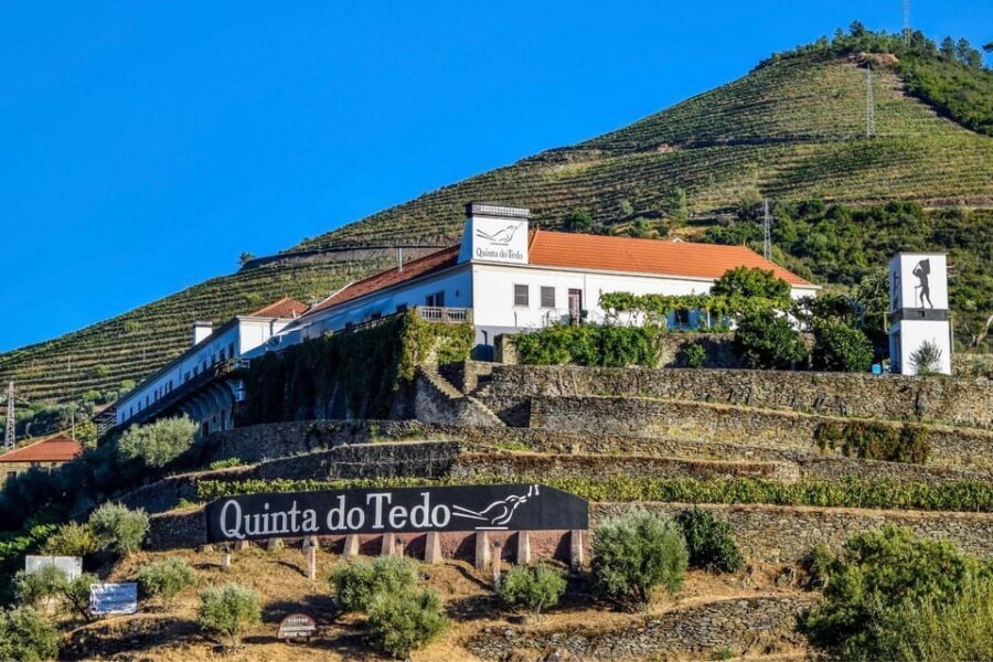 Douro: easy walking + wine tasting + Picnic + visit - Key Points