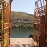 Douro - Pacheca: luxury walking with full lunch and wines - What to Expect: Practical Details and Tips