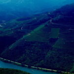 DOURO PREMIUM - An Authentic Taste of Portugal’s Douro