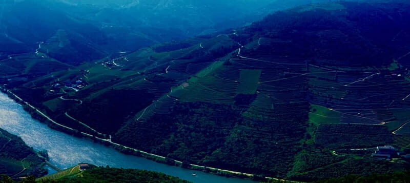 DOURO PREMIUM - An Authentic Taste of Portugal’s Douro